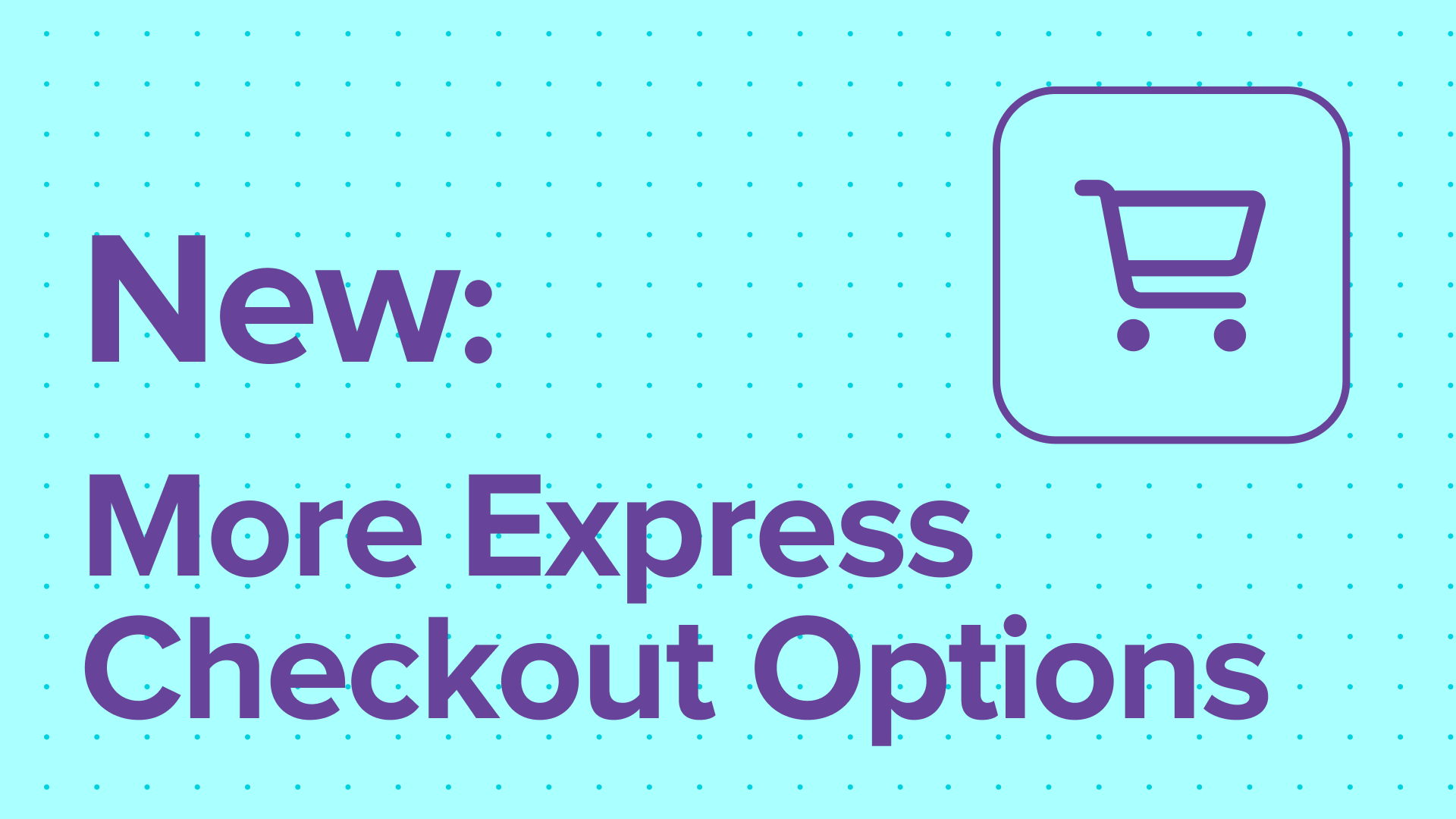 More options coming to the express checkout Roadmap Insights – The ...