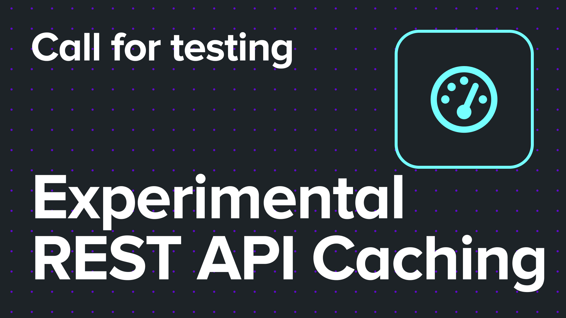 Call for testing: Experimental REST API Caching in WooCommerce 10.5 ...